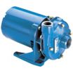 Straight Centrifugal Pumps - Grainger Industrial Supply