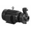 Straight Centrifugal Pumps - Grainger Industrial Supply