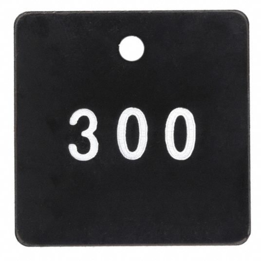 Plastic, 201-300, Numbered Tag - 22CN45|22CN45 - Grainger