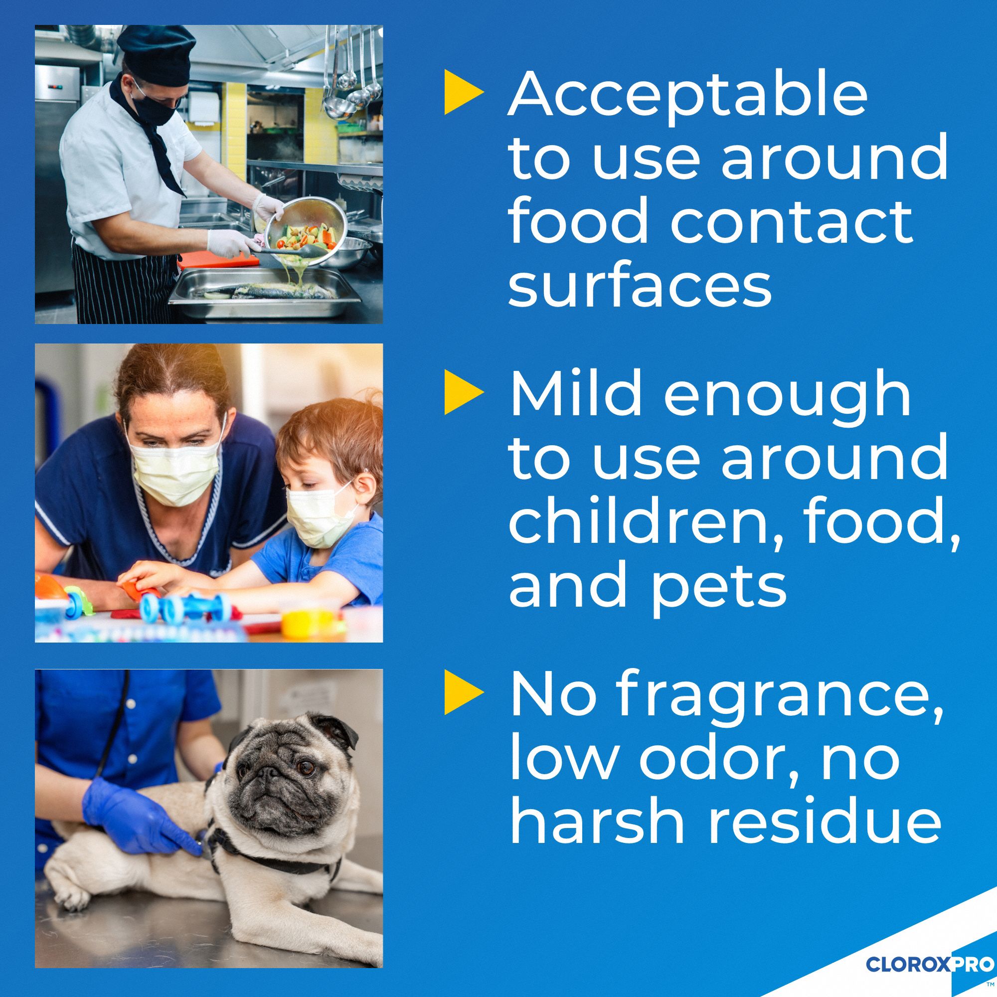 CLOROX Sanitizing Spray: Trigger Spray Bottle, 32 oz Container Size ...