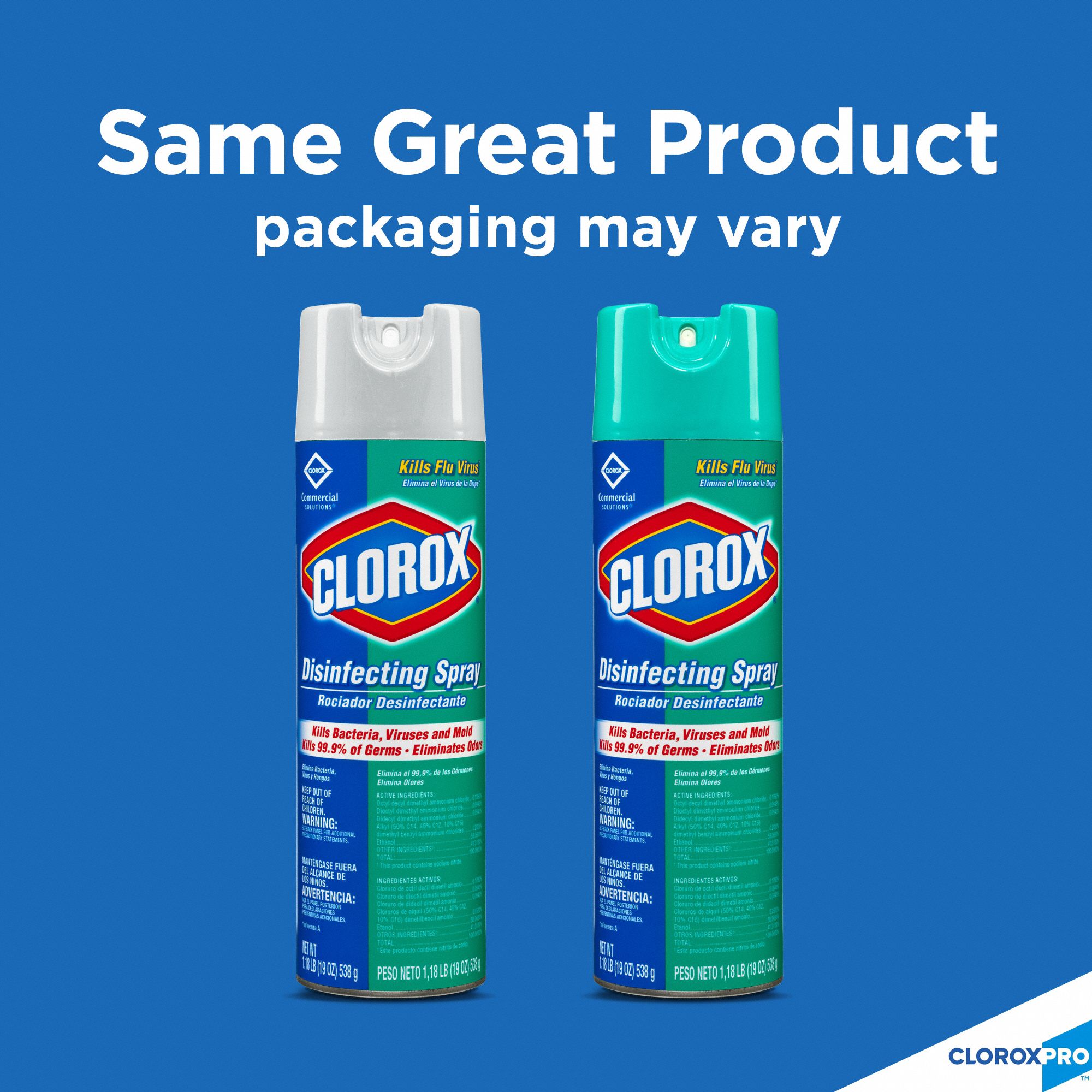CLOROX Disinfectant Spray: Aerosol Spray Can, 19 oz Container Size ...