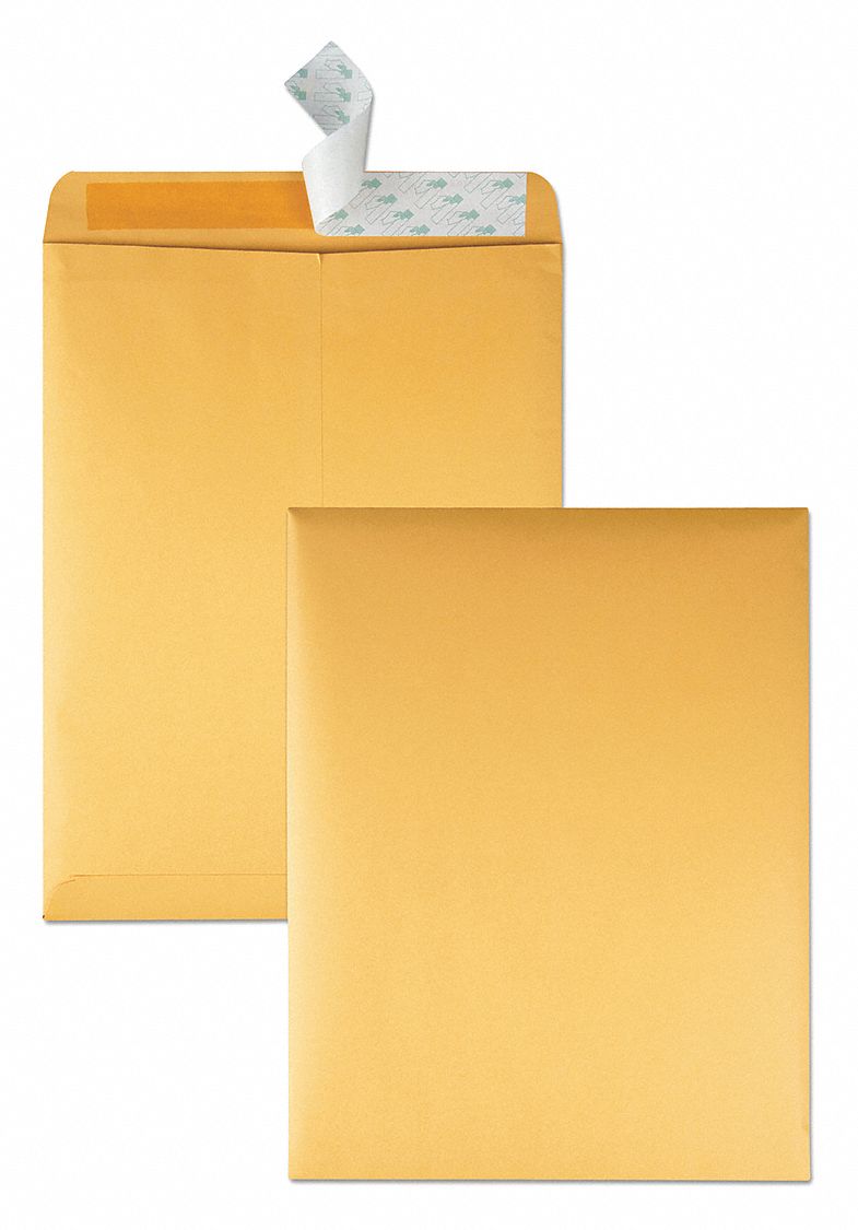 QUALITY PARK, #13-1/2 Envelope Size, Kraft, Catalog Envelopes - 23K921 ...