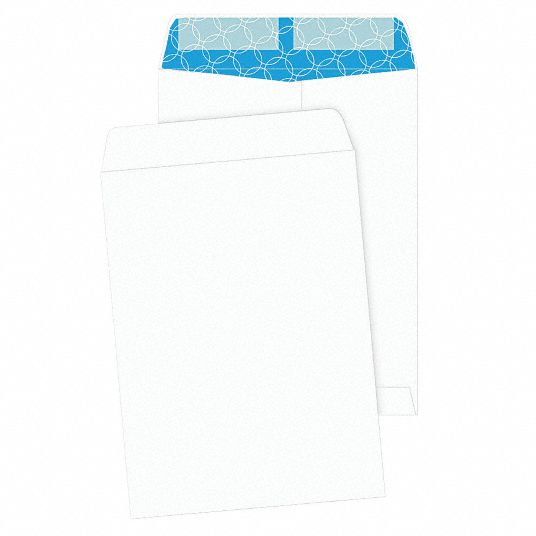 QUALITY PARK, #13-1/2 Envelope Size, Paper, Catalog Envelopes - 23L176 ...