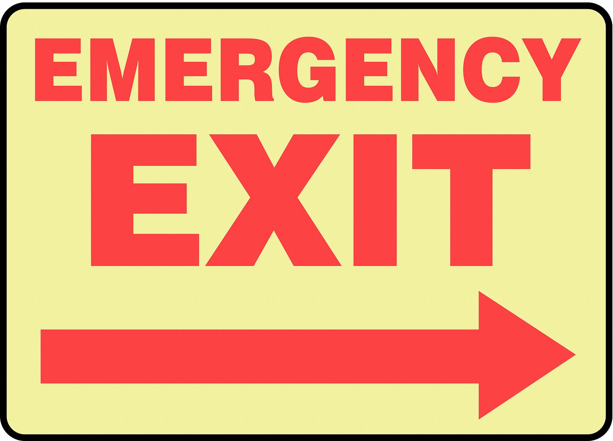 Plastic, Emergency Exit Sign, 14" Width, 10" Height, Double-Sided No ...