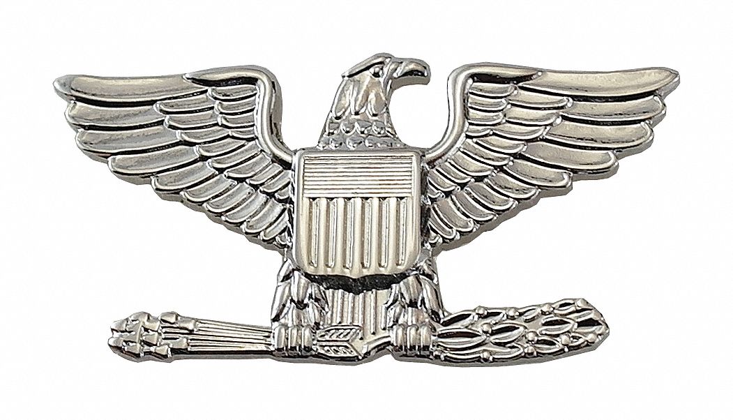 HEROS PRIDE, Col. Eagle, 1 in, Metal Rank Insignia - 24GT66|4428PN ...