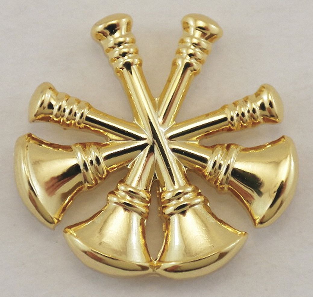 HEROS PRIDE, Dpty. CF Fire Bugles, 3/4 in, Metal Rank Insignia - 24GT81 ...