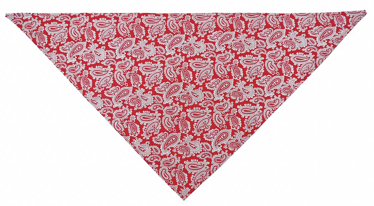 Cooling Triangle Hat,Red Western - Grainger