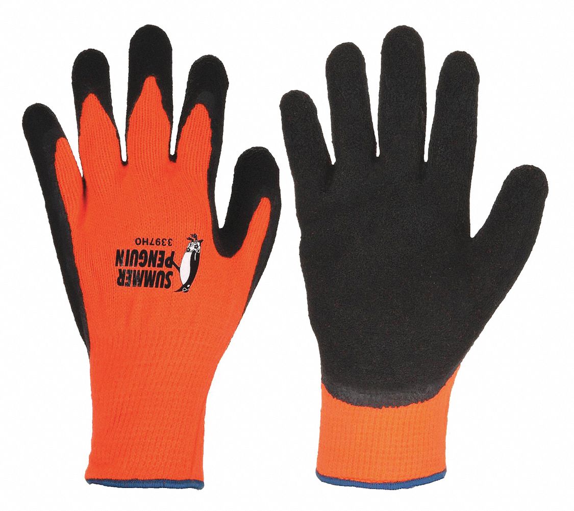 3397Hoxl Summer Penquin Xlarge, PK12 - Grainger