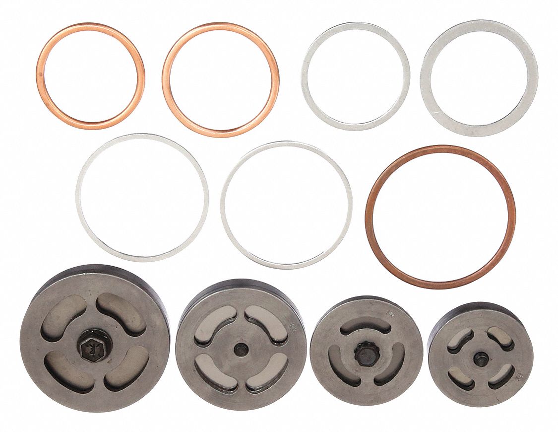 CHAMPION, Z5155, R15, Valve Set,(r10d and R15b) - 26DP06|Z5155 - Grainger