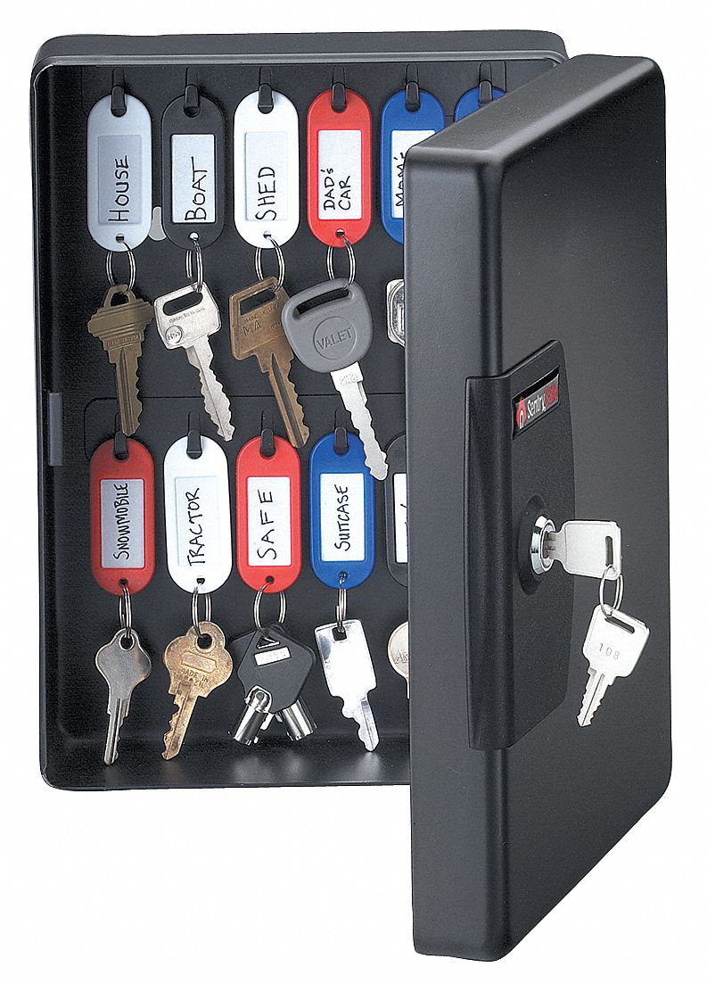 SENTRY SAFE Wall Mount Key Cabinet 29RV64 KB 25 Grainger