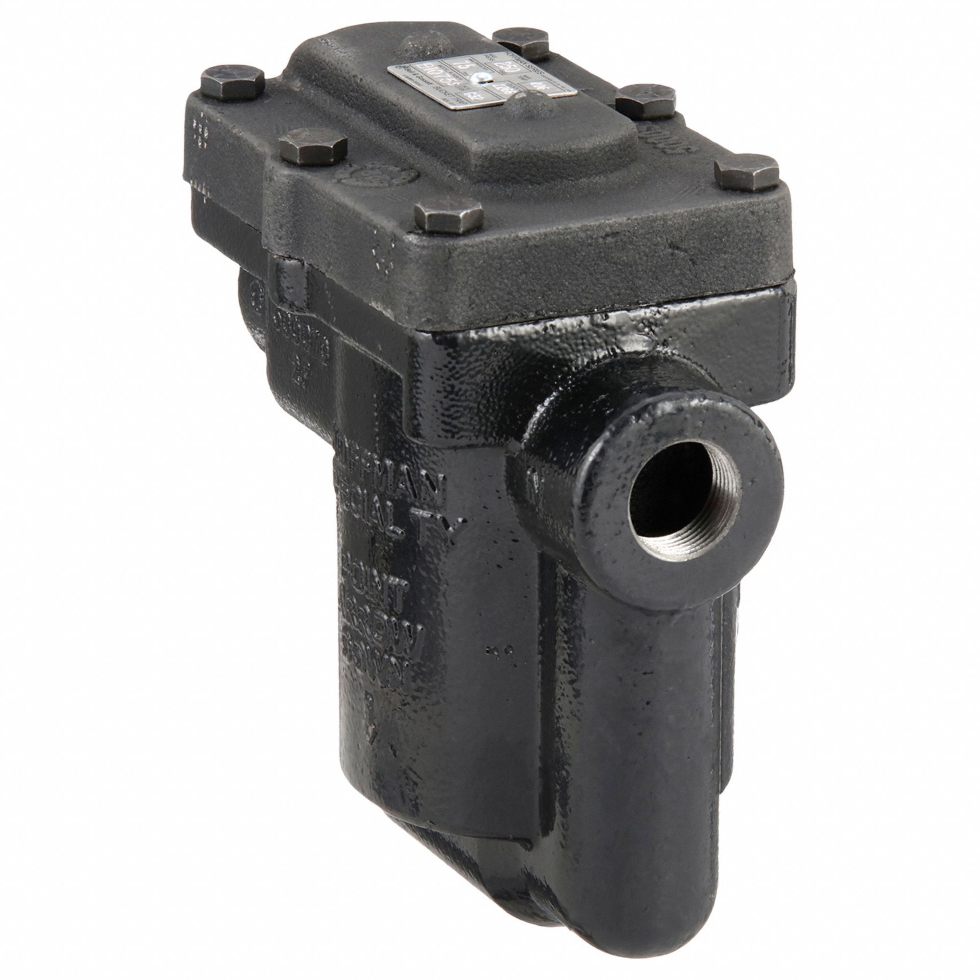 Cast Iron, 1/2 in FNPT, Steam Trap - 2CMG2|B1030S-2 - Grainger