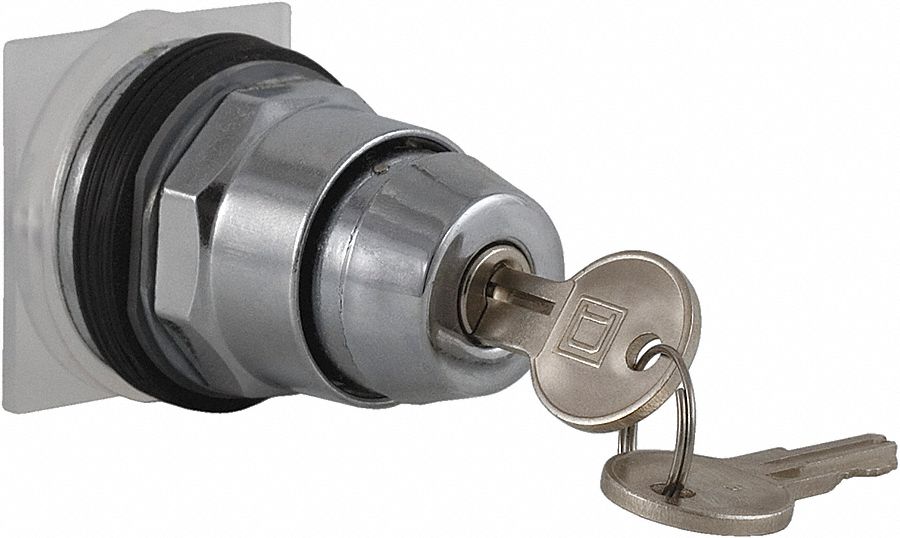 SCHNEIDER ELECTRIC, 2 Position, 30 mm Panel Mounting Size, Keyed ...