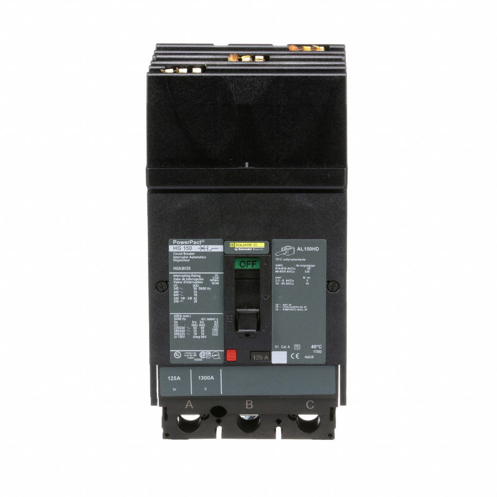 SQUARE D Molded Case Circuit Breaker: 125 A Amps, 65kA at 240V AC, Fixed, Lug, ABC - 2GNT3 ...