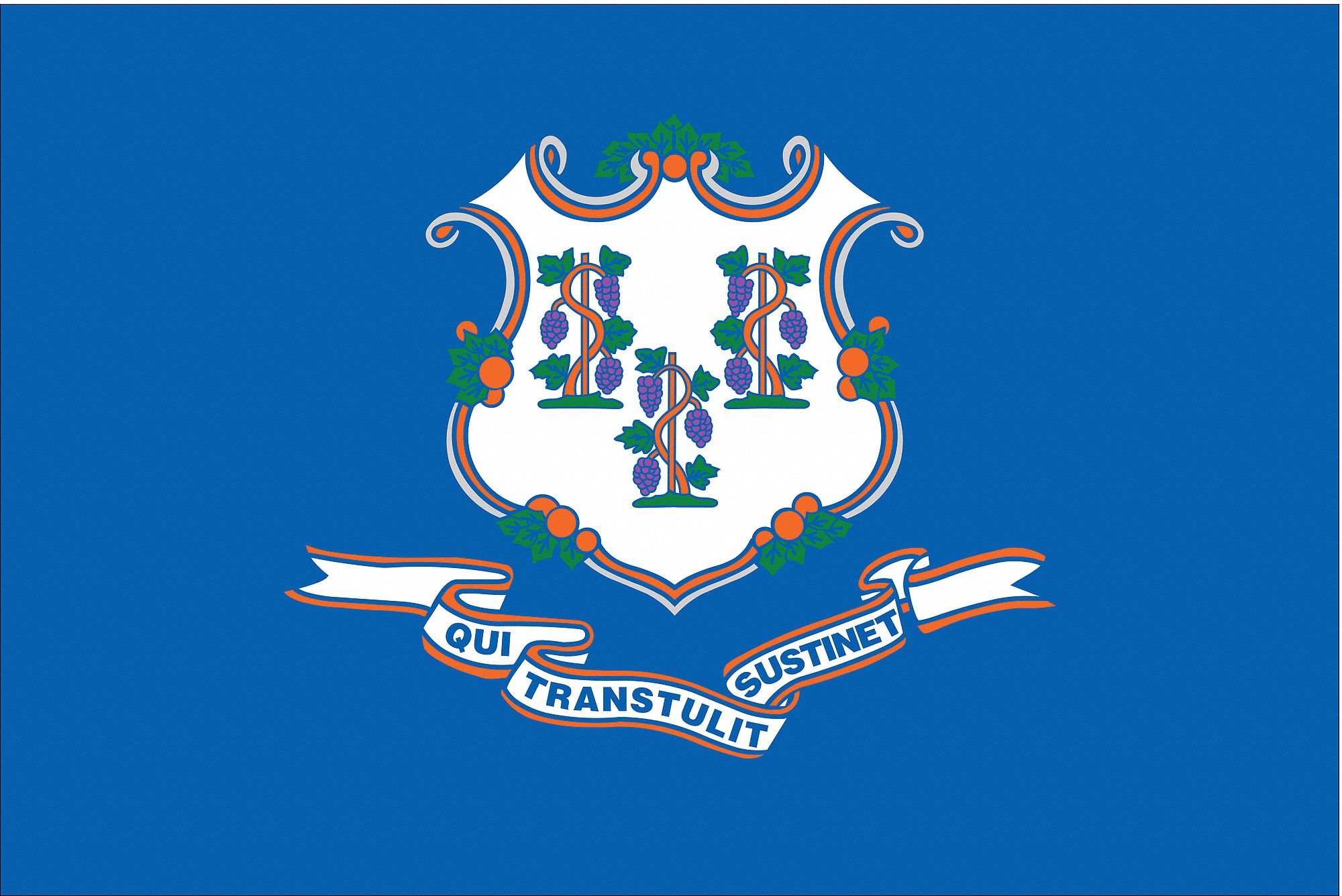 Nylon, Outdoor, Connecticut State Flag - 2NEH7|140760 - Grainger
