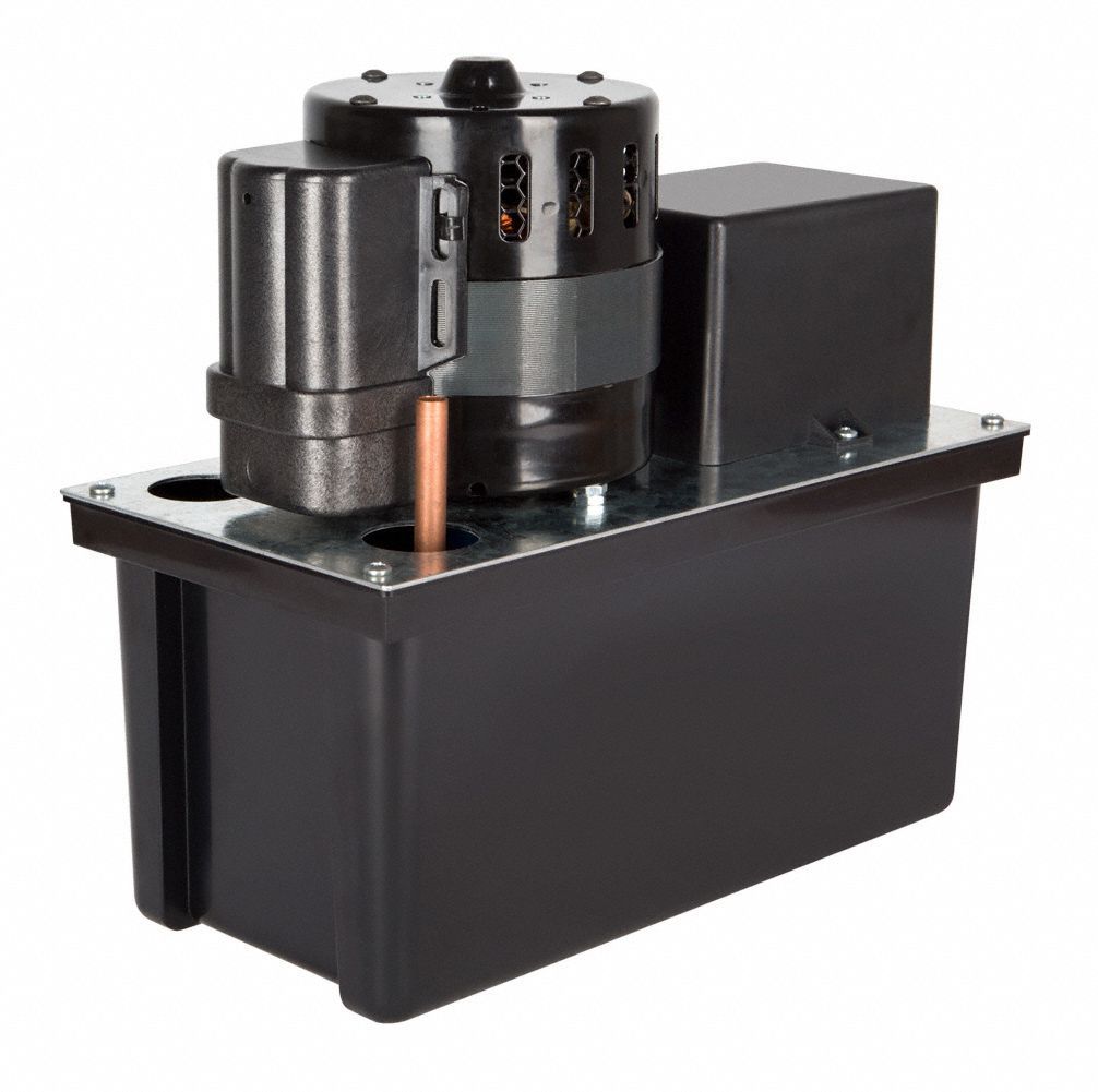 LITTLE GIANT Condensate Removal Pump: Std, 1 gal Tank, 1/5 hp, 230V AC ...