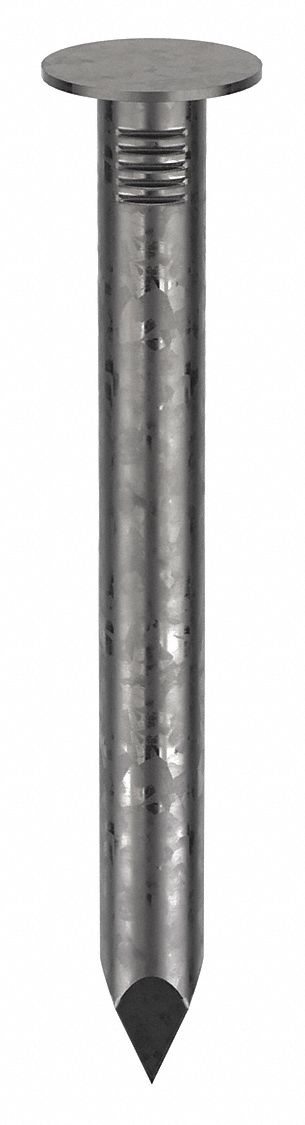 BOSTITCH, Connector Nails, Flat, Framing Nails,1 1/2" L,Plain,PK1000 ...