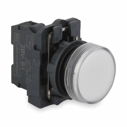 SCHNEIDER ELECTRIC, 22 mm Panel Mounting Size, White, Pilot Light ...