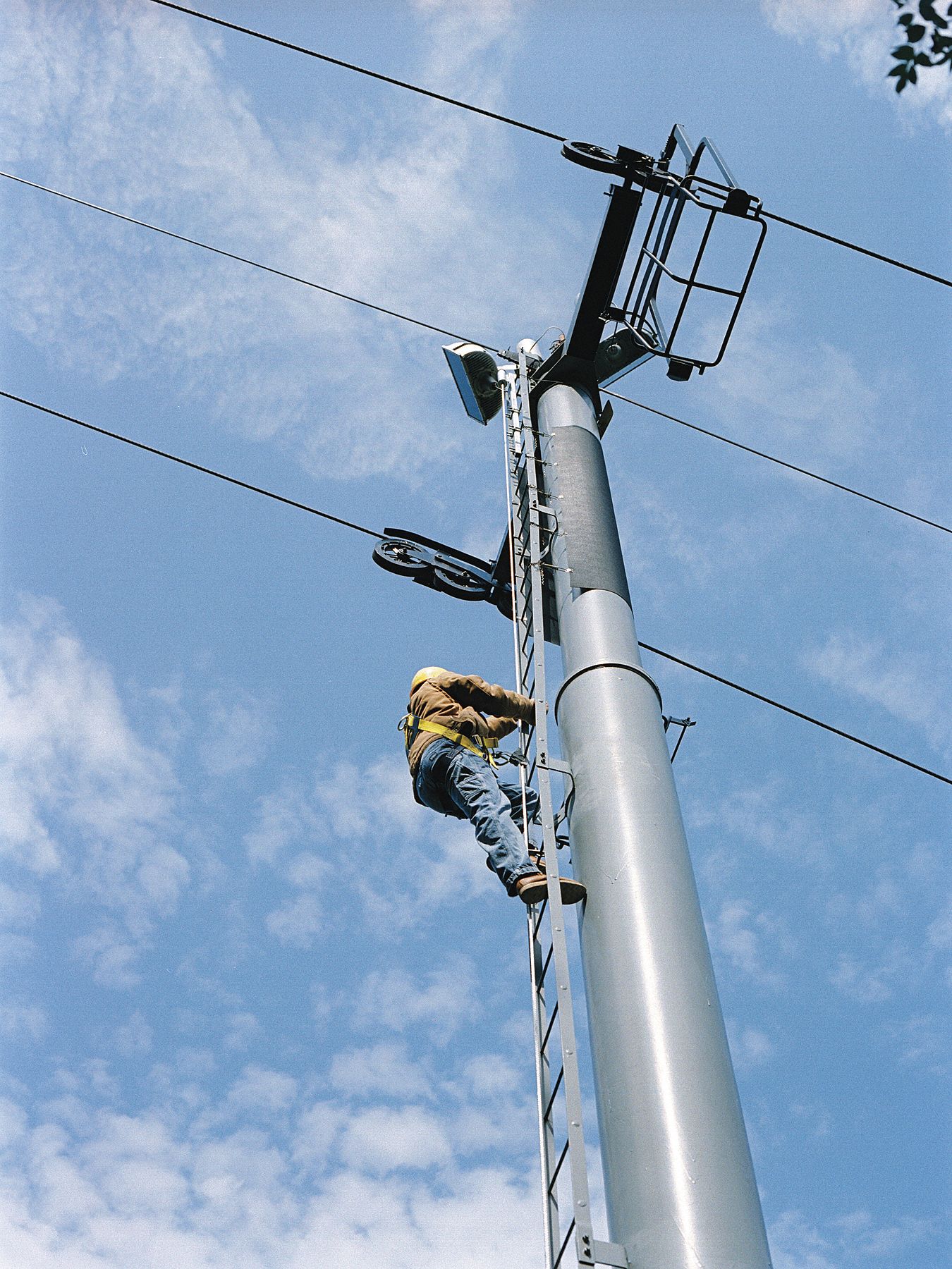 3M DBI-SALA Vertical Lifeline, Galvanized Steel, 310 lb Weight Capacity ...