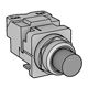 Single-Piece Monolithic Pilot Lights - Grainger Industrial Supply