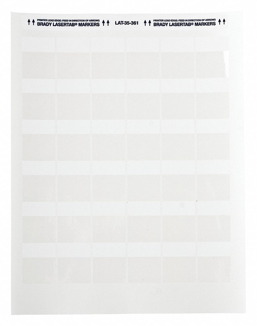1 1/2 in x 1 3/16 in, Polyester, Precut Label Sheet - 30DD23|LAT-35-361 ...