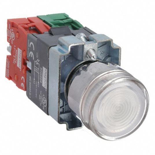 DAYTON, Extended Profile, Metallic, Illuminated Push Button - 30G204 ...
