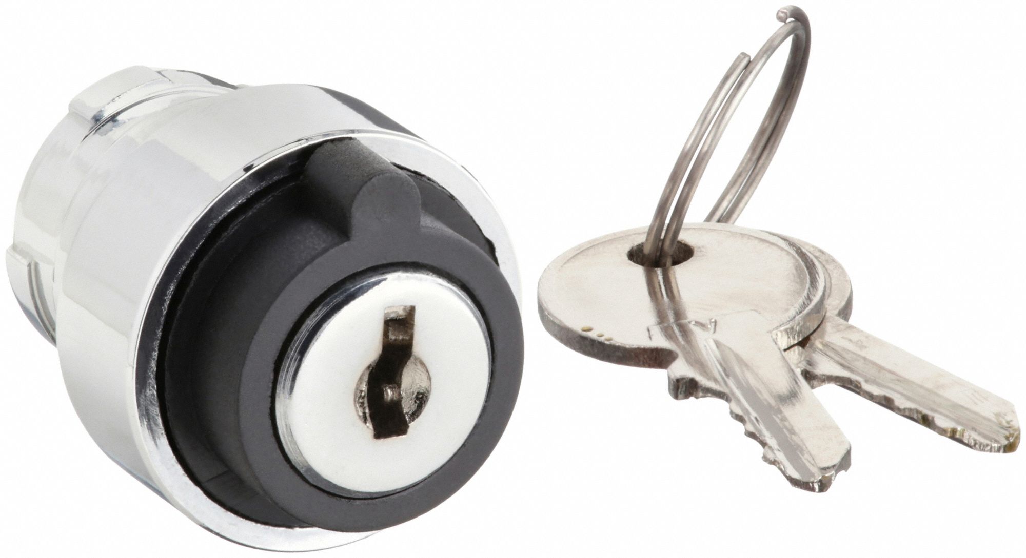 DAYTON, 2 Position, 22 mm Panel Mounting Size, Keyed Selector Switch ...