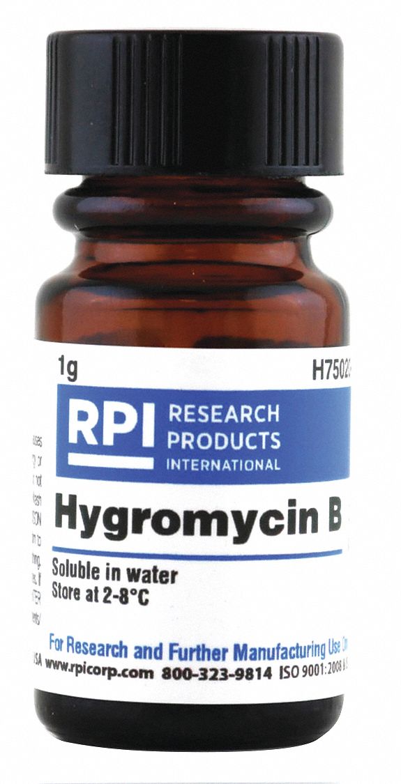 RPI Hygromycin B, Powder, 1g Powder - 30TY33|H75020-1.0 - Grainger