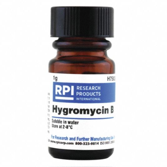 RPI Hygromycin B, Powder, 1 g Powder - 30TY33|H75020-1.0 - Grainger