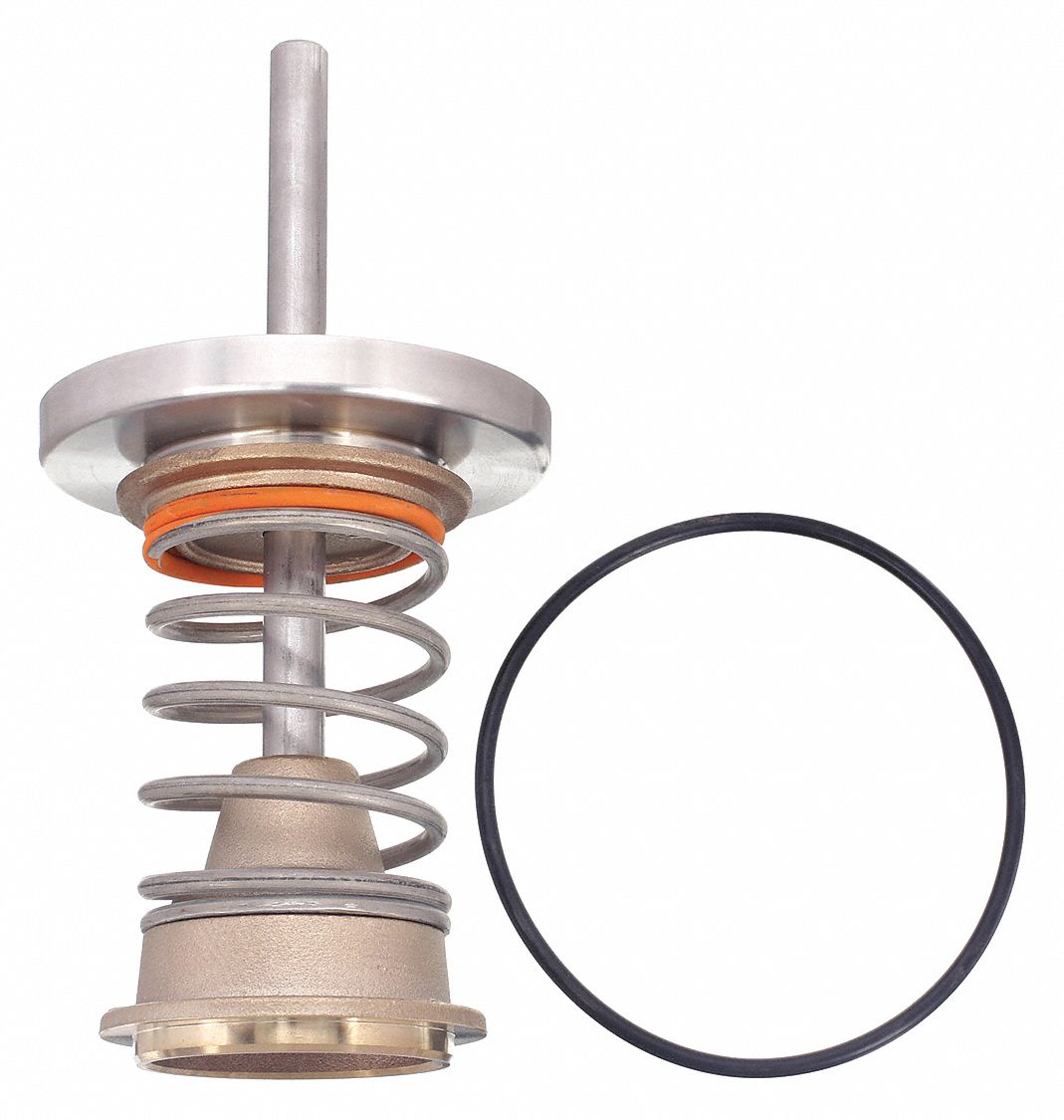 WATTS, First Check Valve Repair Kit, 793PG4/793PG6, First Check Valve ...