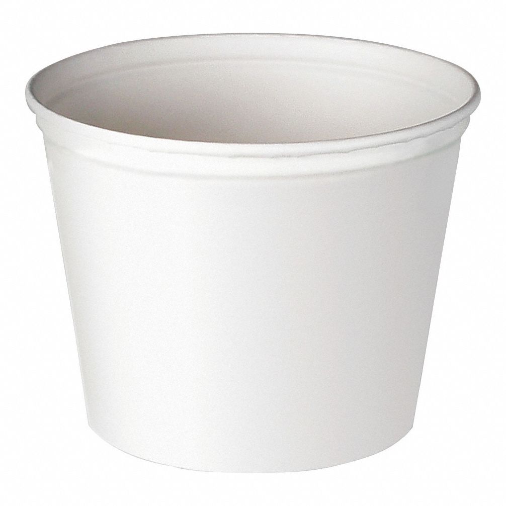 165 oz Capacity, 8 5/16 in Ht, Disposable Carry-Out Food Container ...