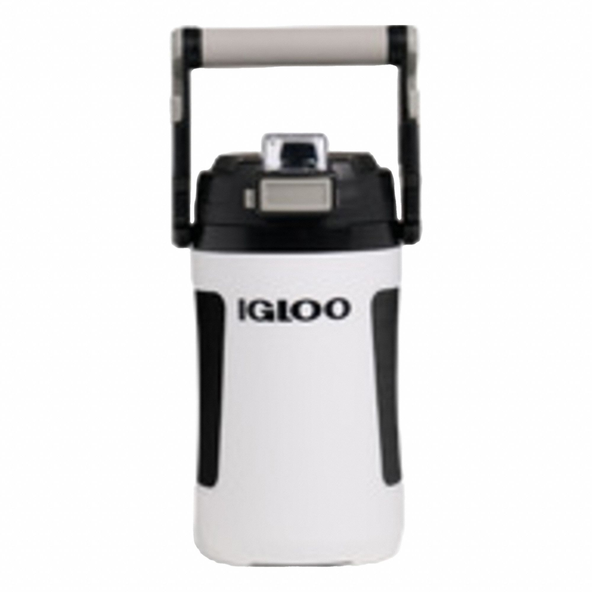IGLOO, 0.5 g Capacity, White, Chug Bottle - 848FX8|00031543 - Grainger