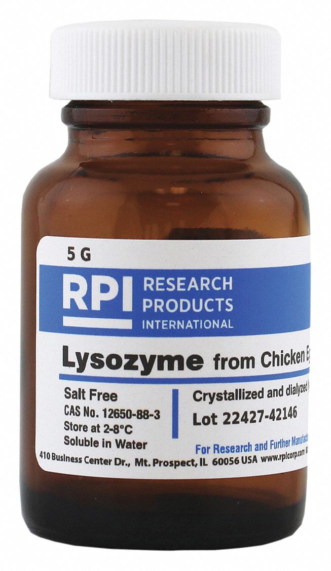 RPI Lysozyme from Chicken Egg White: 5 g Container Size, Powder ...