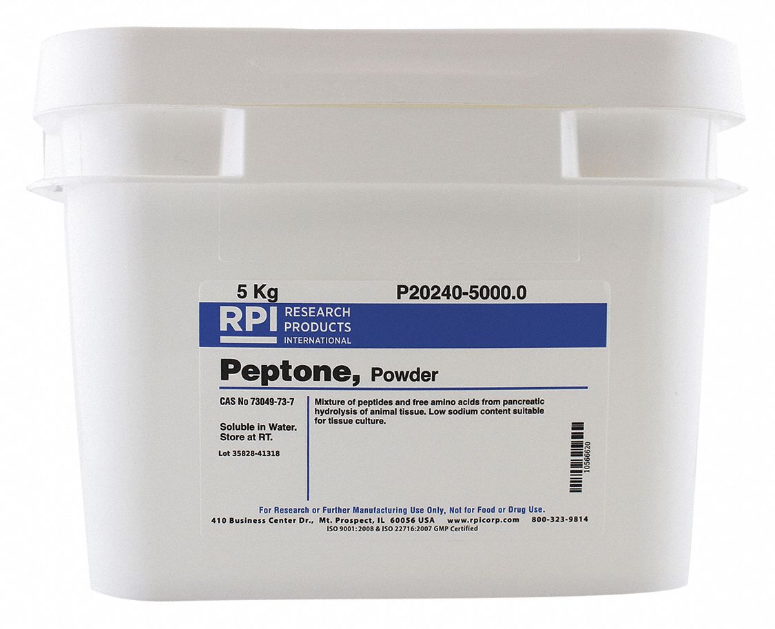 RPI Peptone, Powder, 5 kg, 1 EA - 31GC61|P20240-5000.0 - Grainger