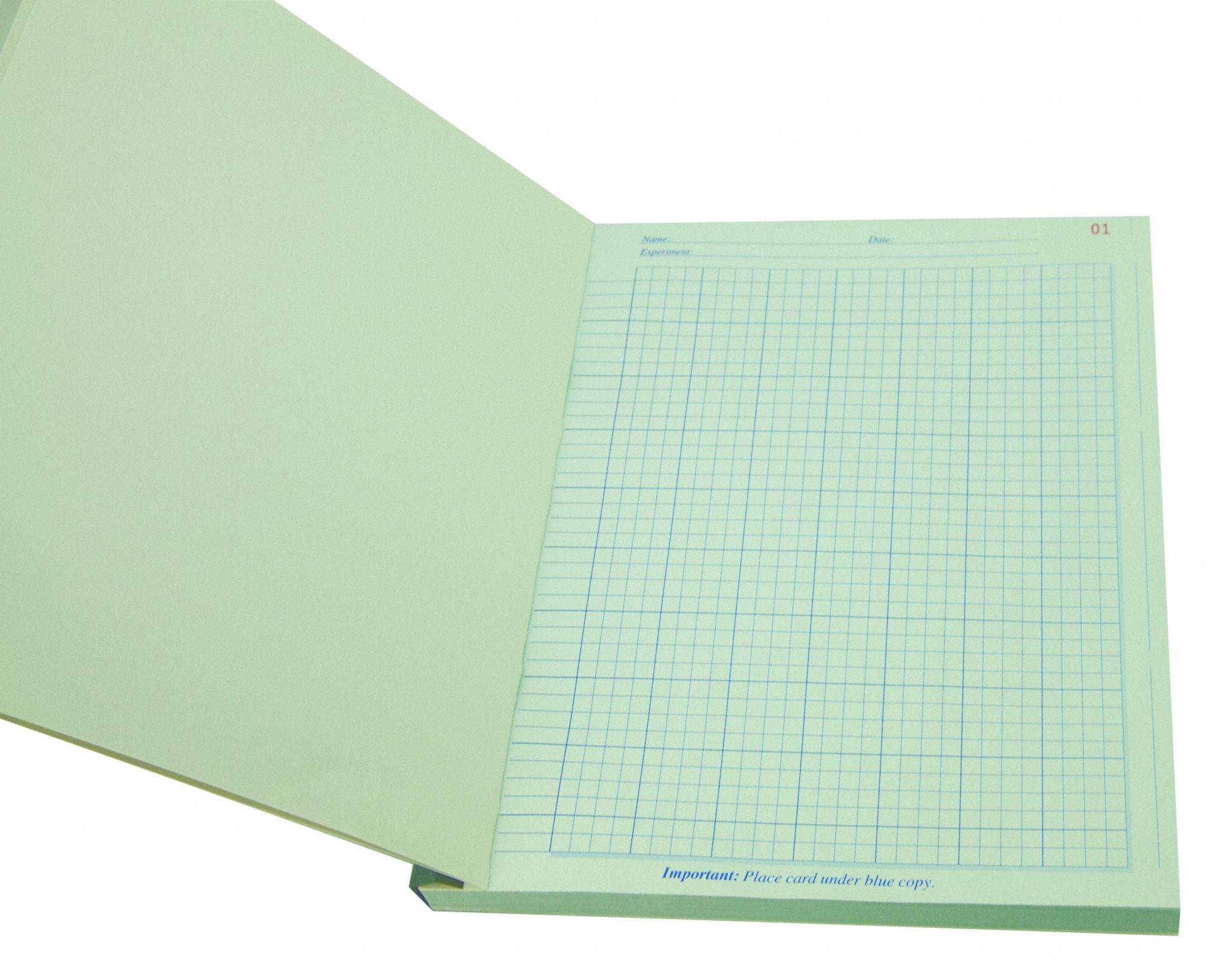 ROARING SPRING Notebook: Quadrille, Nonwirebound, 200 Sheets, Pages ...