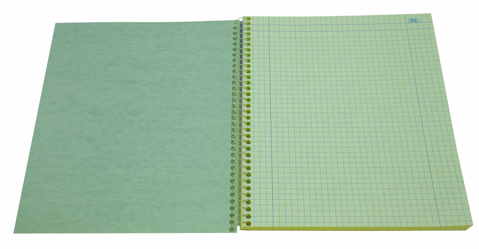 ROARING SPRING Notebook: Quadrille, Wirebound, 100 Sheets, Pages ...