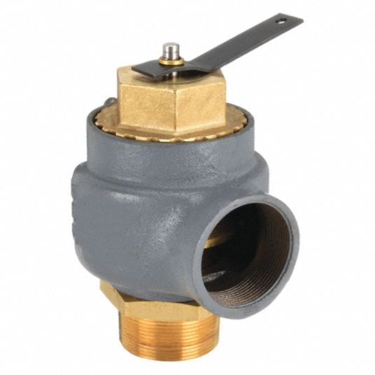 KUNKLE VALVE, MNPT x FNPT, 2 in x 2 in, Safety Relief Valve - 31LH25 ...