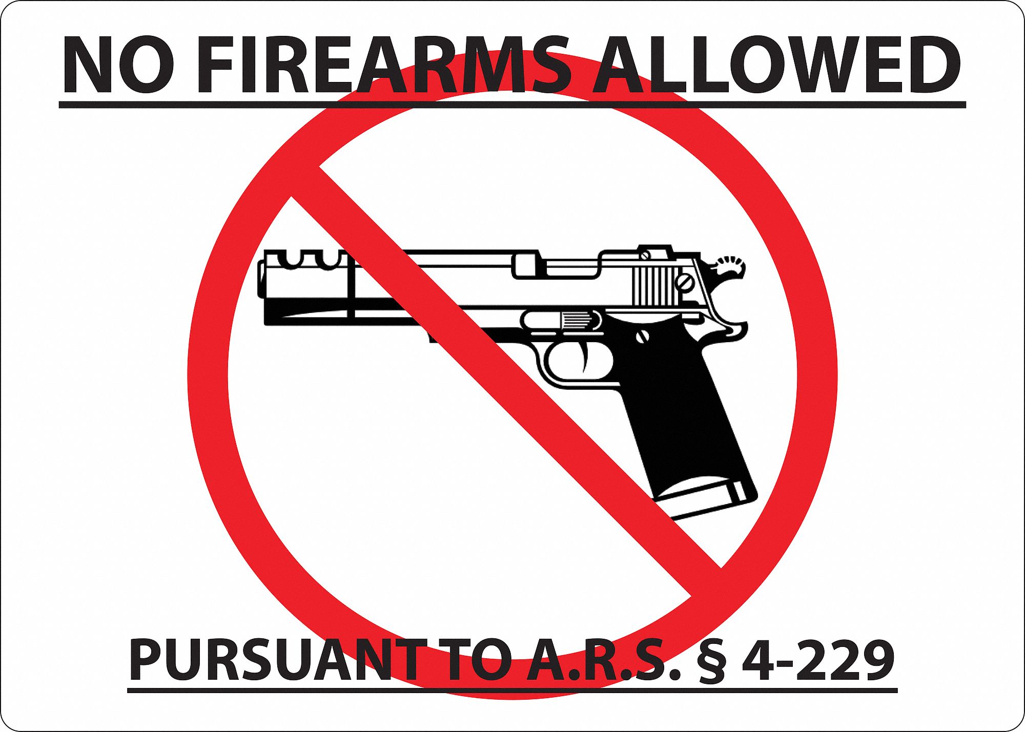 ZING Arizona Concealed Carry Sign: Plastic, Mounting Holes Sign ...