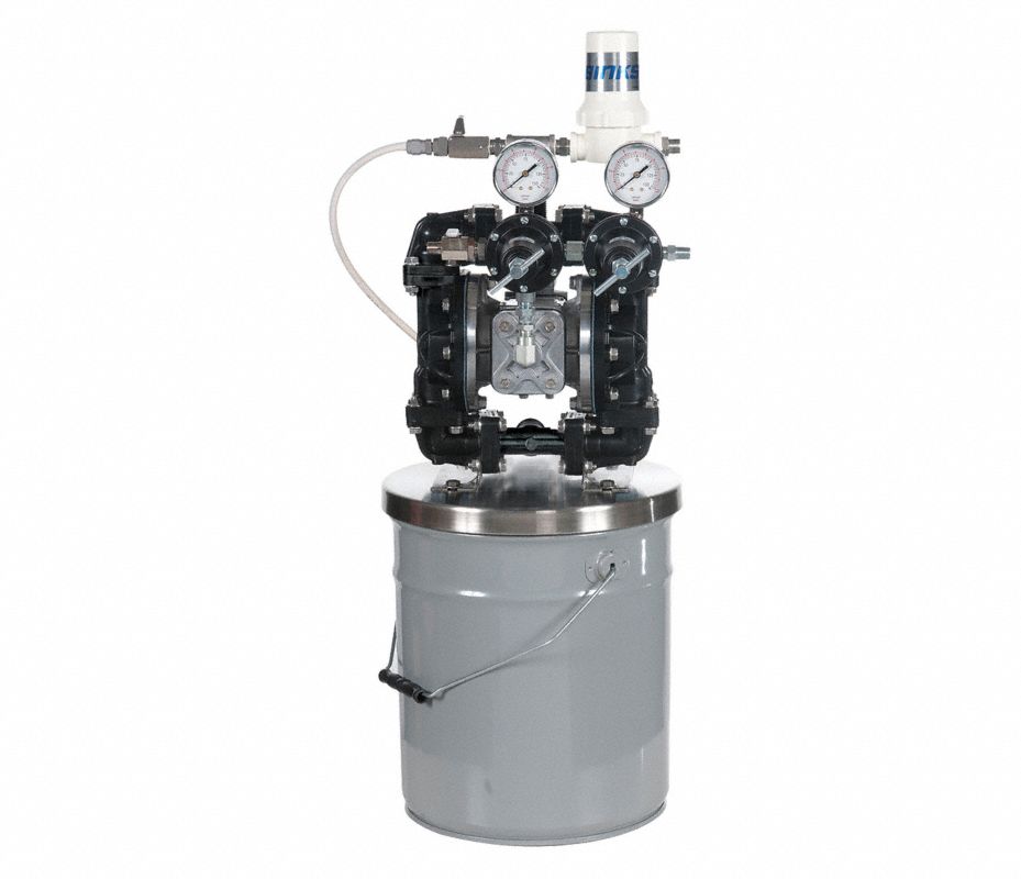 BINKS Bomba de Diafragma DBL,Acetal,5 gal. - Bombas Rociadoras de ...