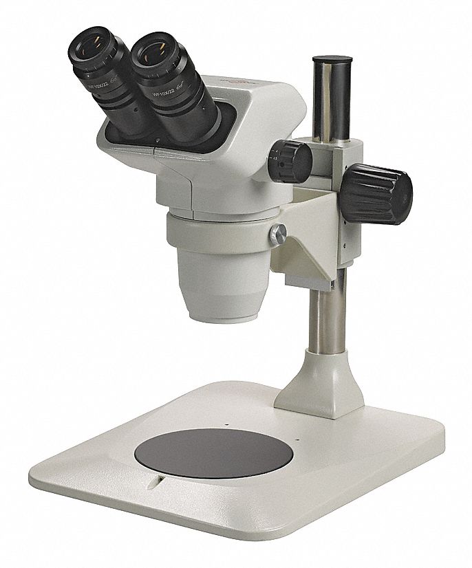 ACCU-SCOPE, Stereo, Binocular, Microscope - 32WA80|3075-PS - Grainger