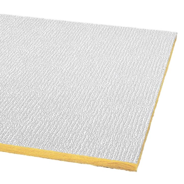 ARMSTRONG, 2907, 24 in x 48 in, Ceiling Tile - 32WM13|2907 - Grainger
