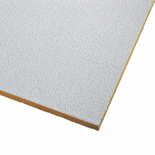 ARMSTRONG, 2989, 24 in x 48 in, Ceiling Tile - 32WM21|2989 - Grainger