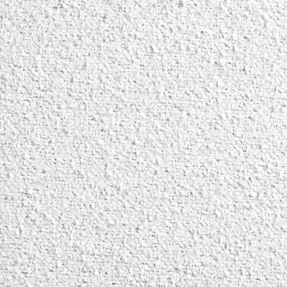 ARMSTRONG, 3103B, 24 in x 48 in, Ceiling Tile - 32WM29|3103B - Grainger