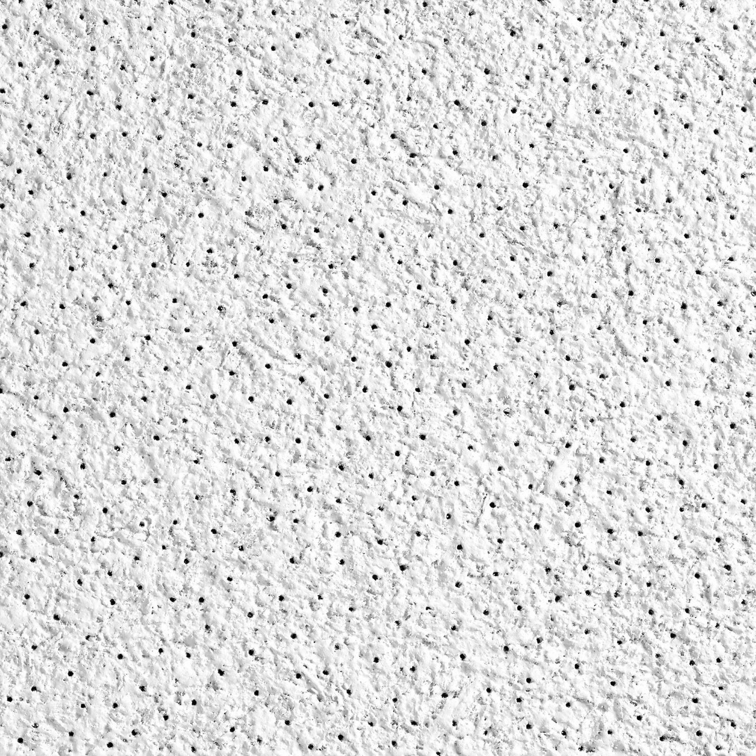 ARMSTRONG, 556E, 24 in x 24 in, Ceiling Tile - 32WM89|556E - Grainger