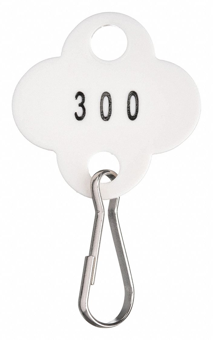 100 Key Tags, Shamrock, Key Tag - 33J881|33J881 - Grainger