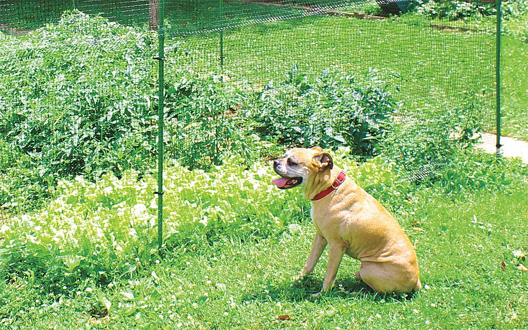 7 ft Ht, 100 ft Lg, Deer Fence Kit - 35HV20|2A130002 - Grainger