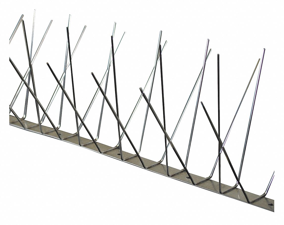 BIRD BARRIER, Wide, Stainless Steel Base, Bird Repellent Spikes ...