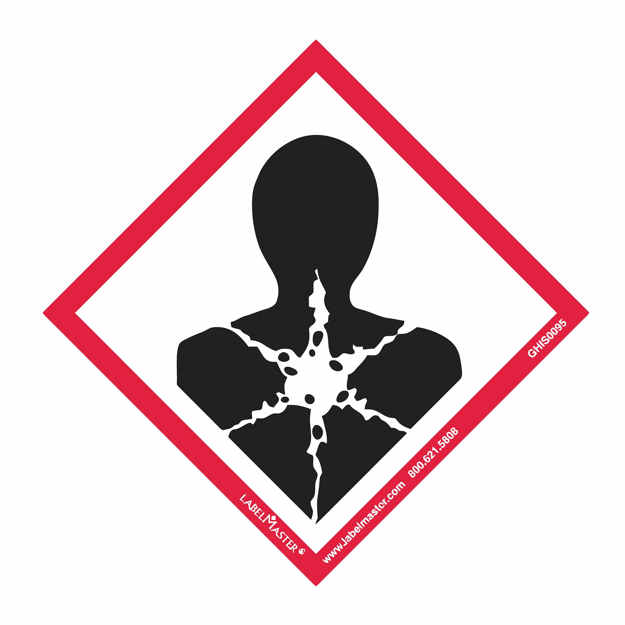 LABELMASTER GHS Health Hazard Label, Polypropylene, 4 in Height, 4 in ...