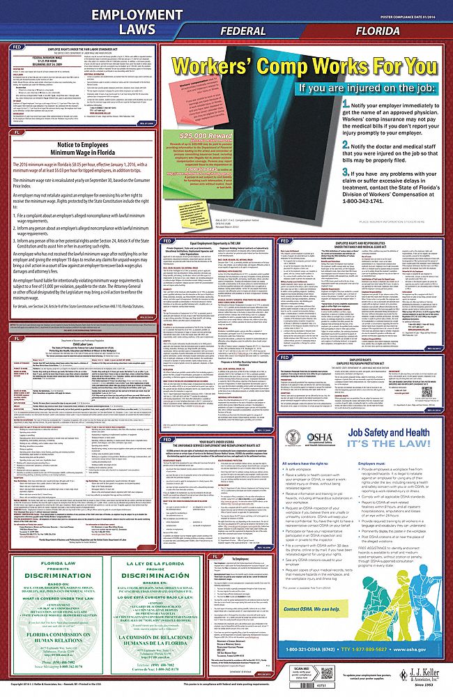 JJ KELLER, Federal and State Labor Law, FL, Labor Law Poster - 36EN42 ...