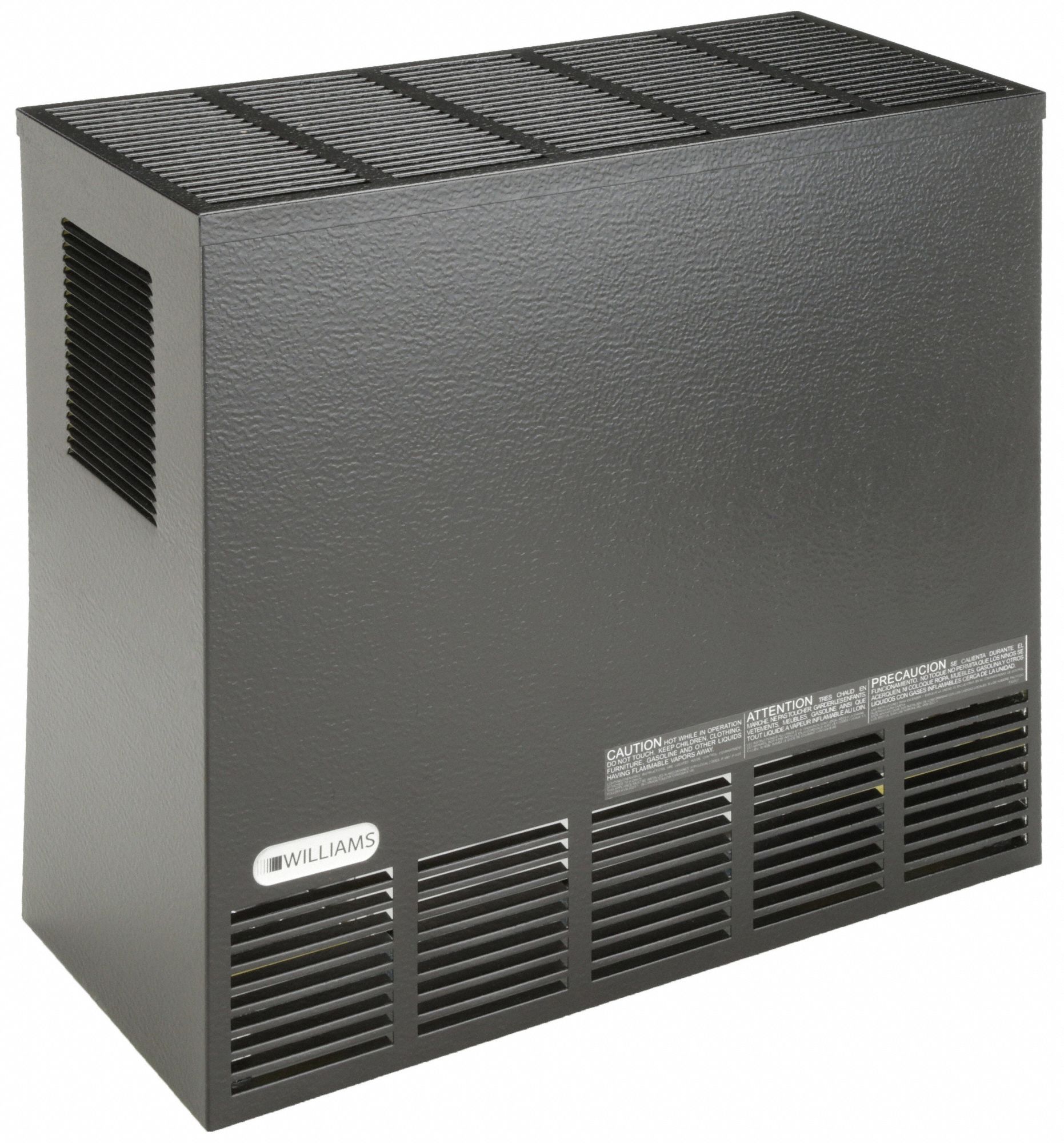 WILLIAMS COMFORT PRODUCTS, Natural Gas, Solid Face Cabinet, Hearth ...