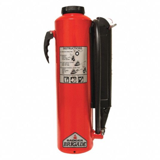 BADGER, 22 lb Extinguisher Capacity, 2A:40B:C, Fire Extinguisher ...